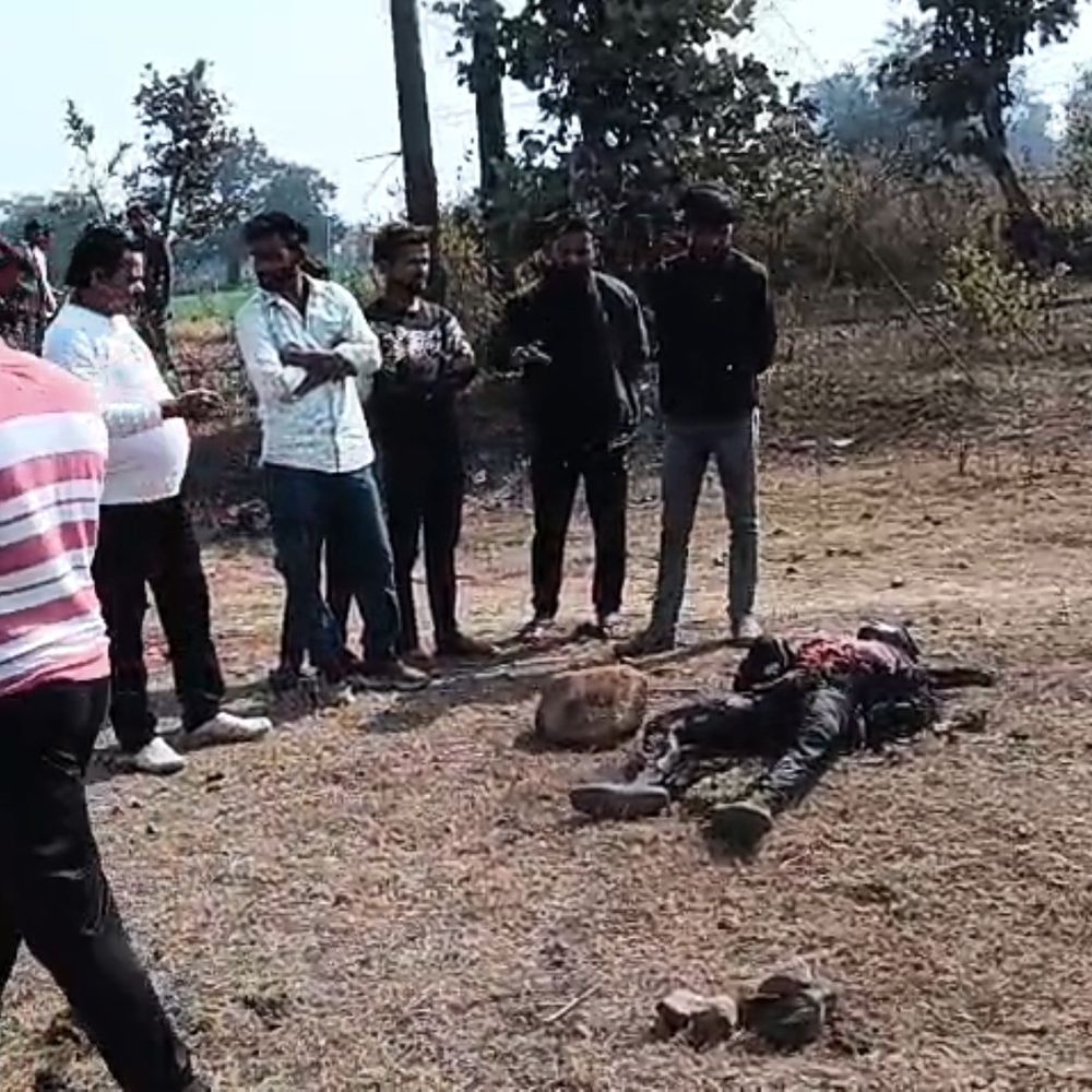 Young man dies connecting high-tension line to kill wild boars in ...