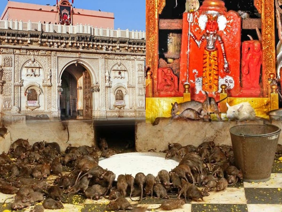 14 Popular Temples in Rajasthan - Pilgrimage Places to Visit