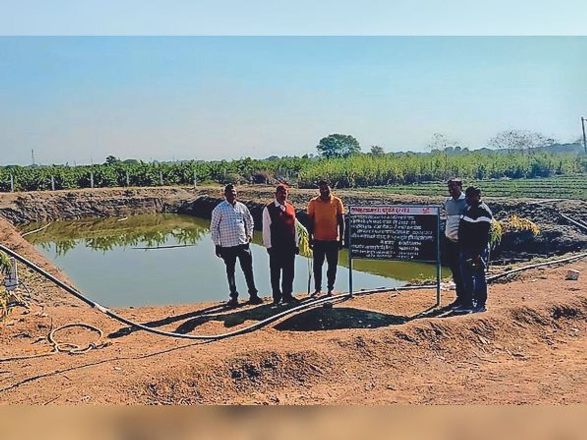 Farm Pond Rajasthan Premium Photo | Local Pond In Farm Outdoor