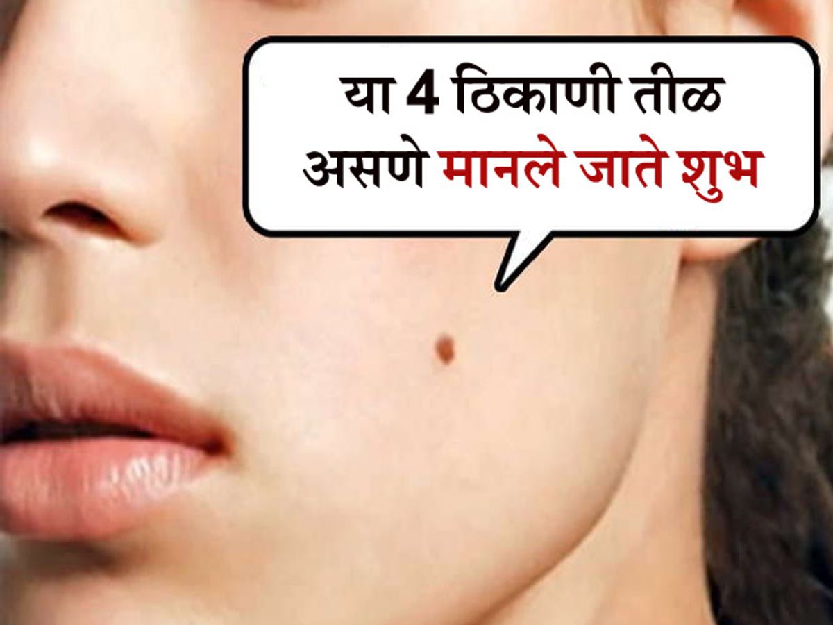 recolectar-68-images-mole-meaning-in-marathi-viaterra-mx
