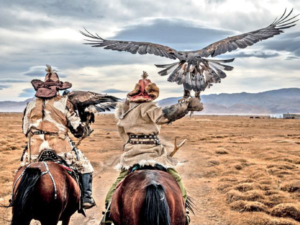 Kazakh community of Mongolia, which hunts through hawks; The ...
