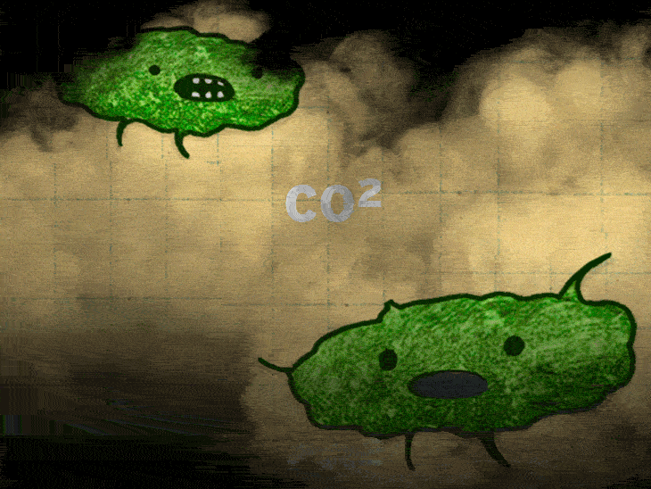 Researchers created carbon dioxide-eating bacteria to help fight global ...