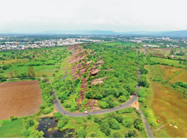 There are 4 types of rare vegetation like Sanjeevani in Adamgarh hill ...