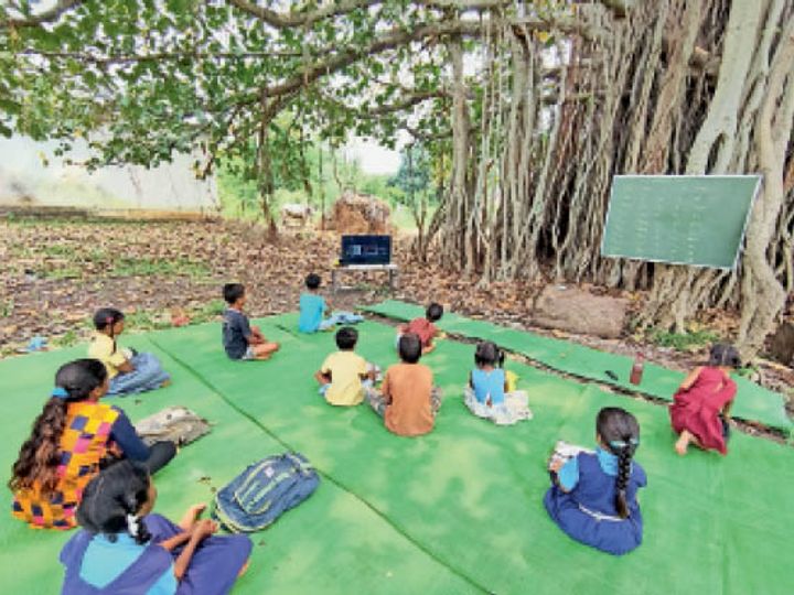 Teacher put class under banyan tree, 45 children coming | शिक्षक ने ...