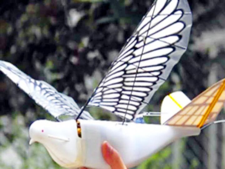 China Takes Surveillance To New Heights With Flock Of Robotic Birds ...