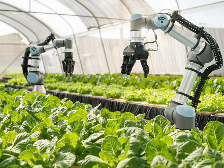 Checkout most exciting food tech innovations at CES 2025, The future of ...