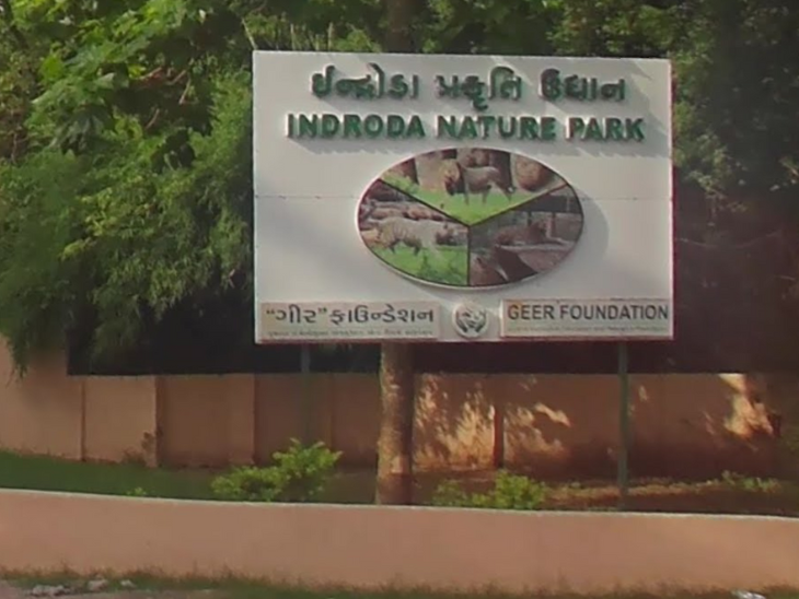 Indroda Nature Park Implements Special Winter Care for Animals ...