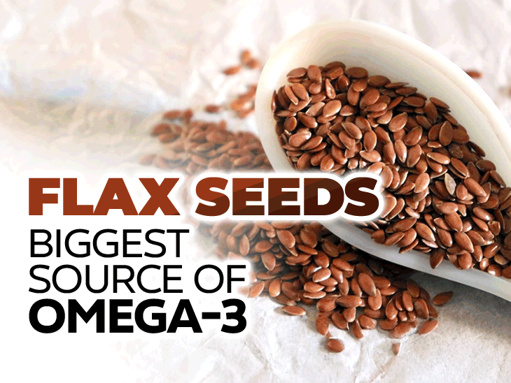 Flax Seeds- The brain-boosting food rich in Omega-3 | Bhaskar English