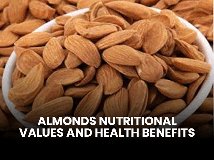national almond day different almonds gurbandi mamra royal their health ...