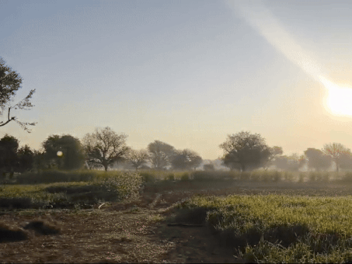 Temperature soars in Rajasthan as summer approaches early: Yellow alert ...