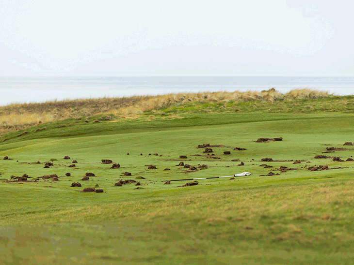 Palestine supporters vandalise Trump’s golf resort in Scotland Write ...