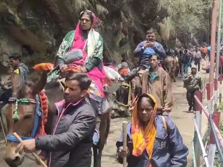 Uttarakhand on alert: H3N3 virus detected in horses ahead of Char Dham ...