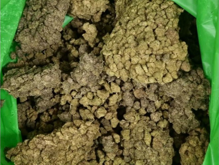 Weed weighing nine kilos in trolley bag at CSMIA: Passenger from ...