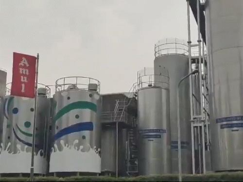 After Mother Dairy, Amul milk also becomes costlier by ?2