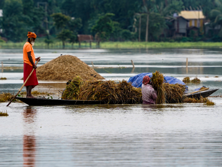 IMD weather forecast June 5: Rain alert, Assam floods and landslides ...