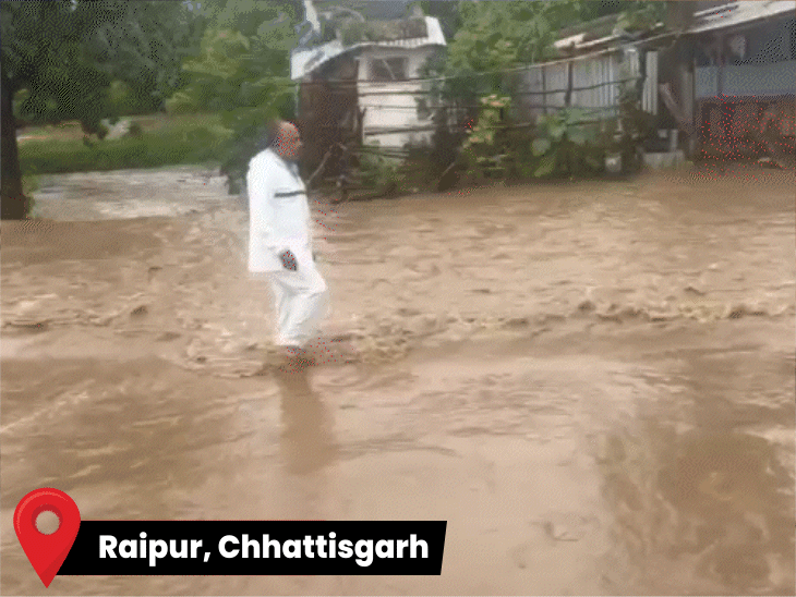 IMD Weather LIVE: Rainfall Alert in MP, Bihar, Himachal, Mumbai, Delhi | Bhaskar English