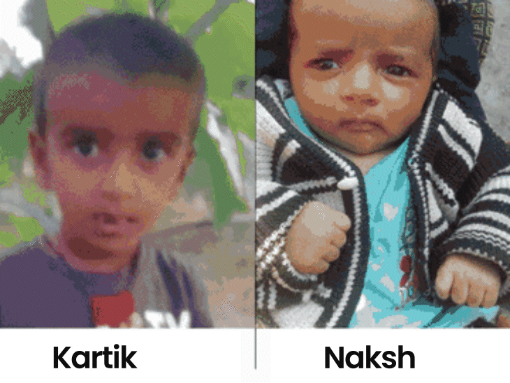 Two minor brothers die of snakebite while sleeping beside mother: Foam ...