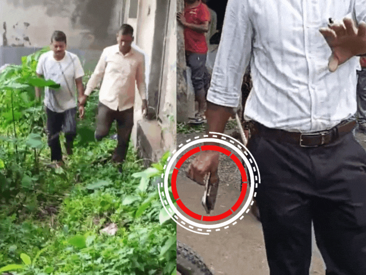 tmc mla jiban krishna saha ed raid phone discarded recovered ssc recruitment scam probe widens ...