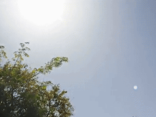 Monsoon set to revive next week in Rajasthan