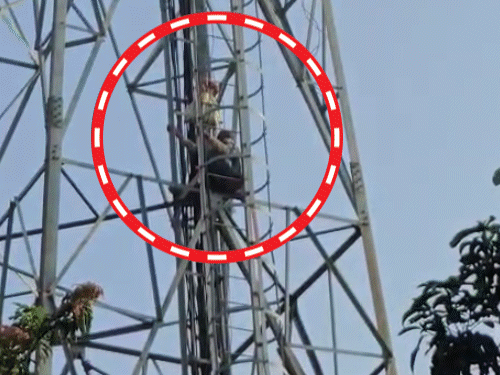 70-year-old elderly man climbs 110-foot tower rebuked by female SDM man ...