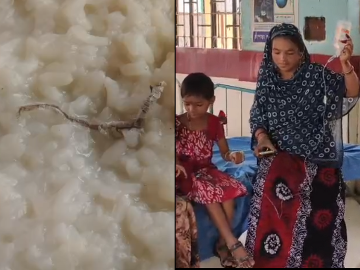 snake skin found in anganwadi meal twenty five children ill in nadia ...