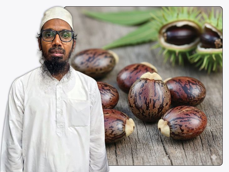 What ricin poison is and why experts call it deadly Gujarat ATS foils ...