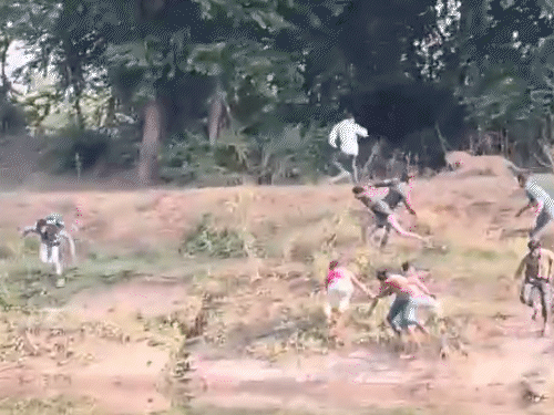 Leopard attacks villagers in Thasra taluka, Kheda district 4 people ...
