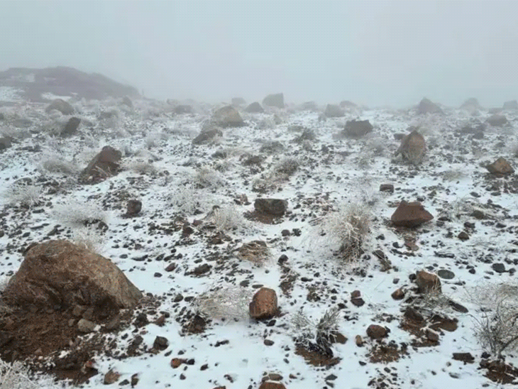Saudi Arabia Snowfall After 30 Years: Can Deserts Freeze, Does India ...