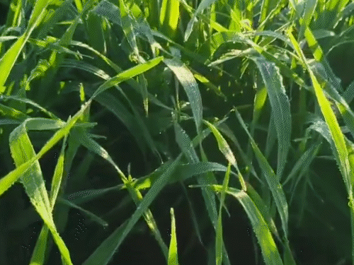 Severe cold grips Rajasthan, cold wave warning for 2 days; Minimum ...