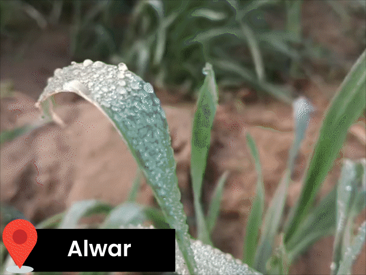 Severe cold grips Rajasthan as mercury drops: Night temperatures fall ...