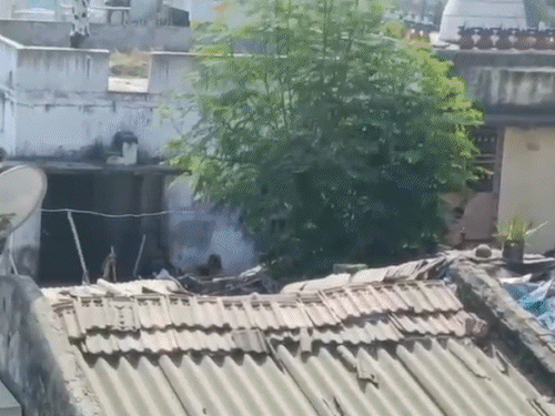 Stone-pelting erupts in Kalana village: Rival groups clash over old ...