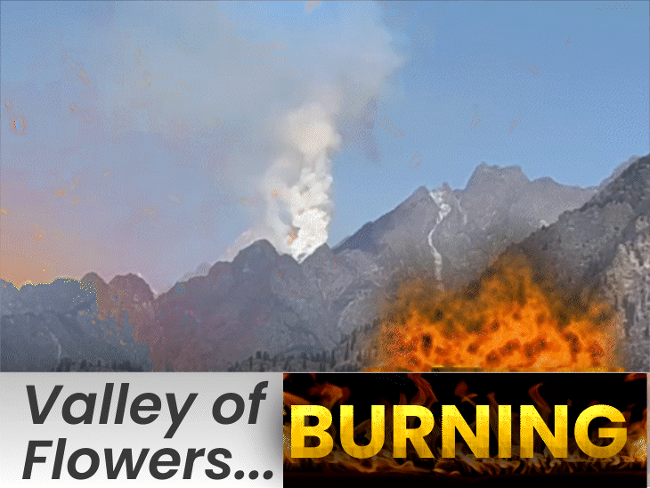 Uttarakhand Valley of Flowers Fire Rages; Air Force Aids Dousing ...