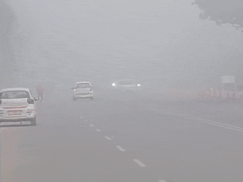 Punjab Chandigarh Fog | Orange Alert Issued; Cold Wave & Rain Likely ...