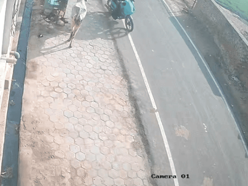 Sriganganagar Schoolgirl Acid Attack | CCTV Footage Surfaces