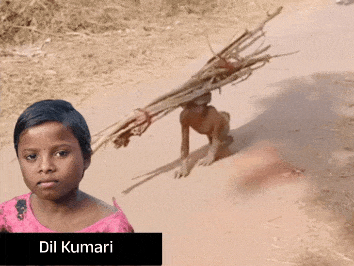 Singrauli Girl Crawls for Firewood | Poverty Forces Disabled Child to ...