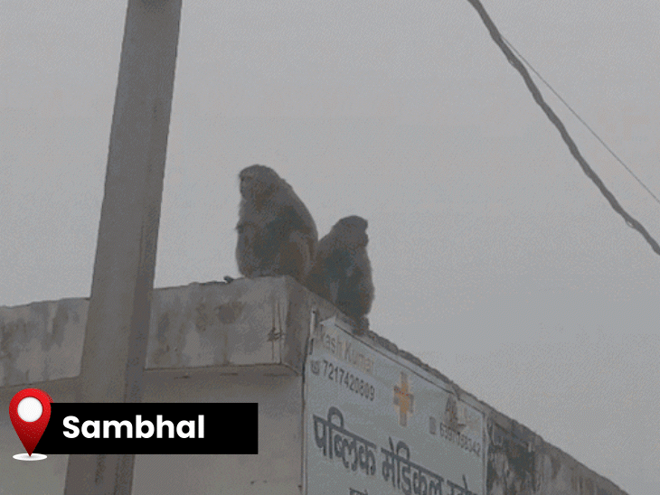 UP Fog & Cold Wave Disrupts Trains, Flights; Min Temp 4°C