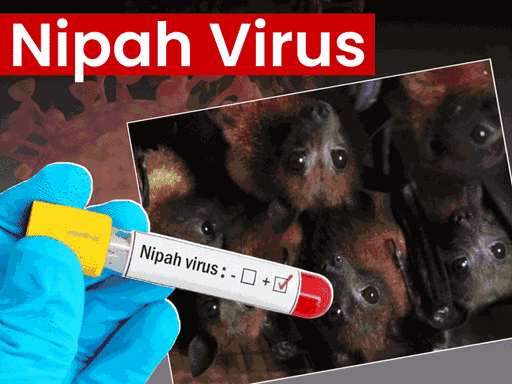West Bengal Patient Dies of Cardiac Arrest; Nipah Test Negative