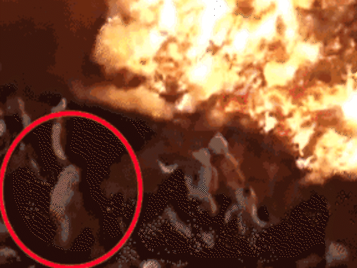 Prahlad Temple 45-Day Holi Ritual: Panda Walks Through 20ft Flames | Braj