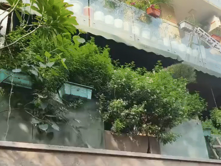 Delhi House Fire: Child Dies, Two Rescued in New Friends Colony