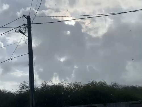 Surat & Navsari Rain; IMD Alert 20 States | Gujarat Monsoon Intensifies