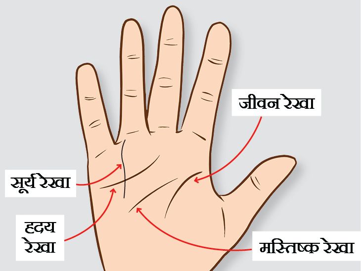 palm reading about surya rekha | यह रेखा बताती है जीवन में आपको मान ...