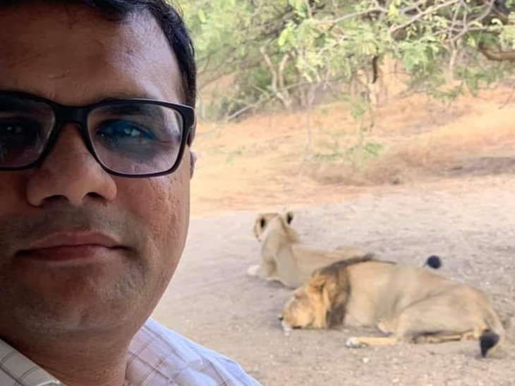 MLA Pratap dudhat the viral selfie photos with lions | भाजपा विधायक की शेर के साथ सेल्फी वायरल ...