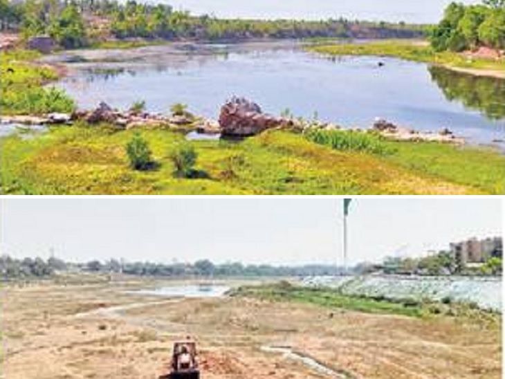 bhaskar initiative bilaspur plants will be planted at 29 places by ...