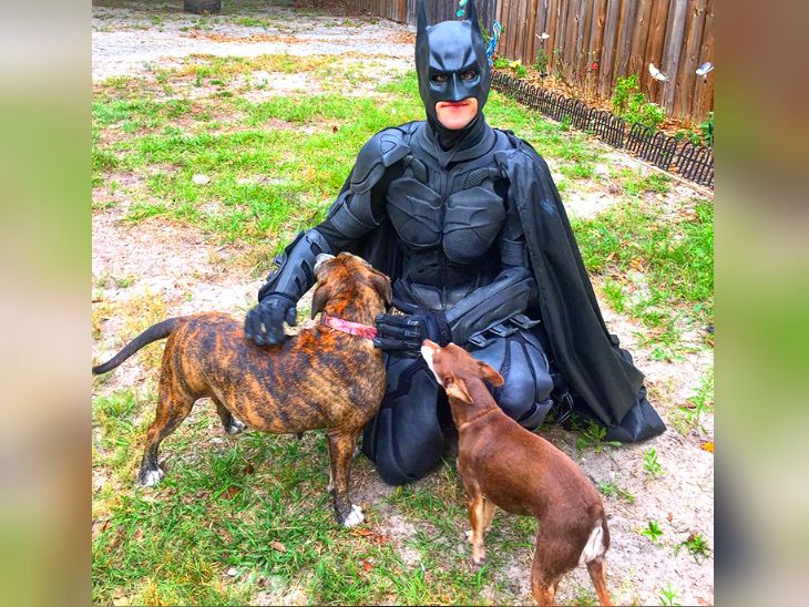 meet man who Dresses Up like Batman To Save Shelter Animals Find Them ...