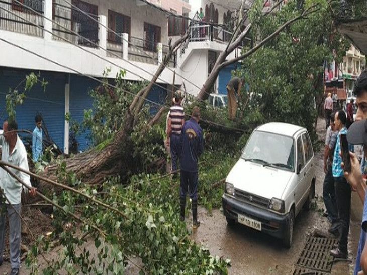 Trees were uprooted at several places in Solan following rainfall in ...