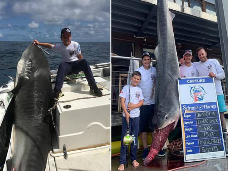 Austrelia, Jayden Millauro hook the 314kg tiger shark at 160km south of ...