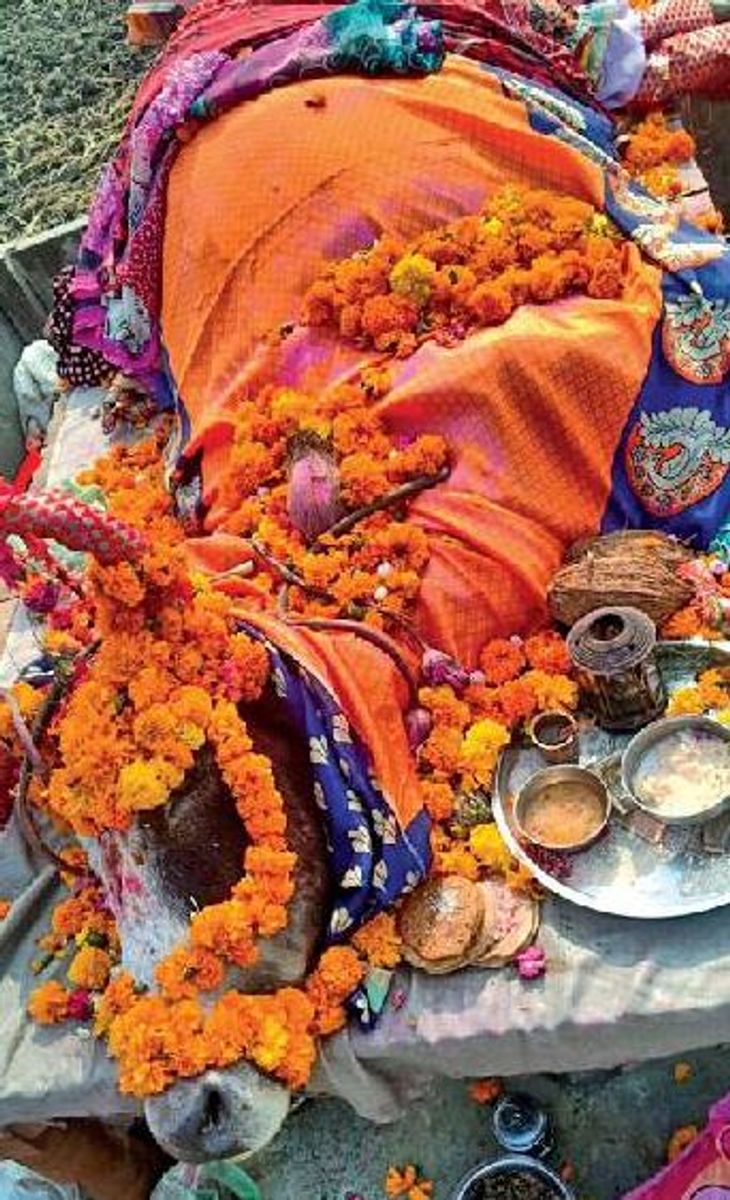 cow funeral procession | महिलाओ ने ओढ़ाई चुनरी, पूजन कर दी नम आंखों से ...