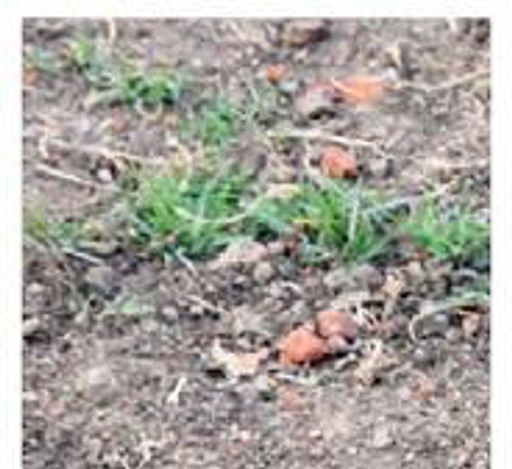 Sagar News - mp news corporation spent millions on the dream of stadium ...