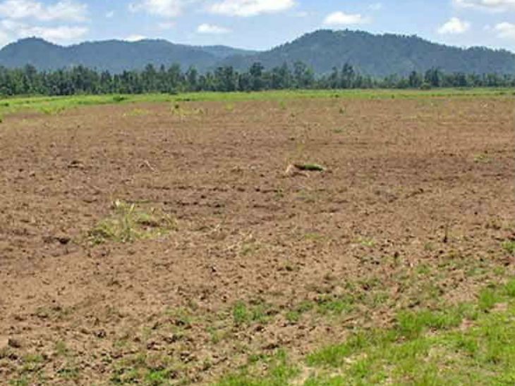 Panchayat got the right to sell the Shamalat land, now the development ...