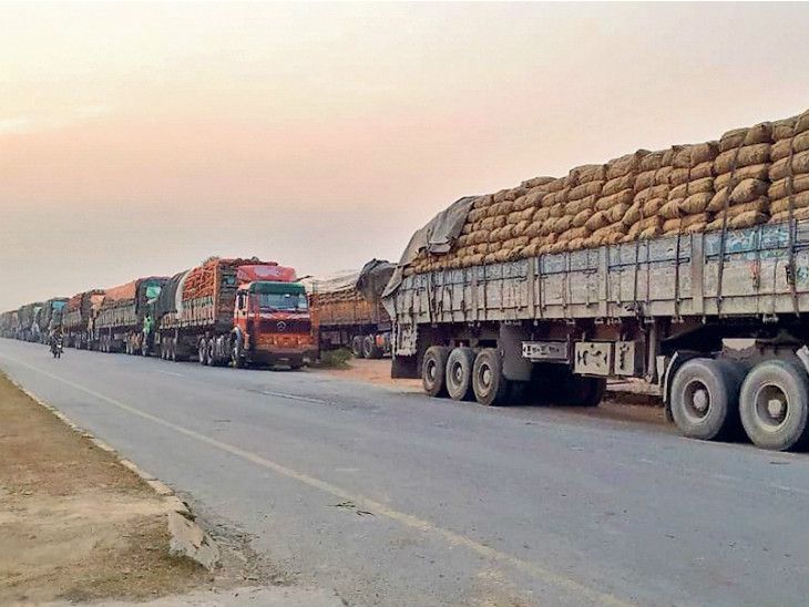 200 trucks carrying Afghan onions stand on Wagah border, prices rise in ...